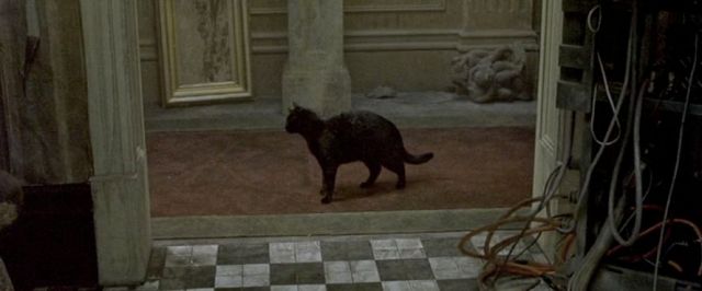 CATS ON FILM | Films with cats in them. | Page 8