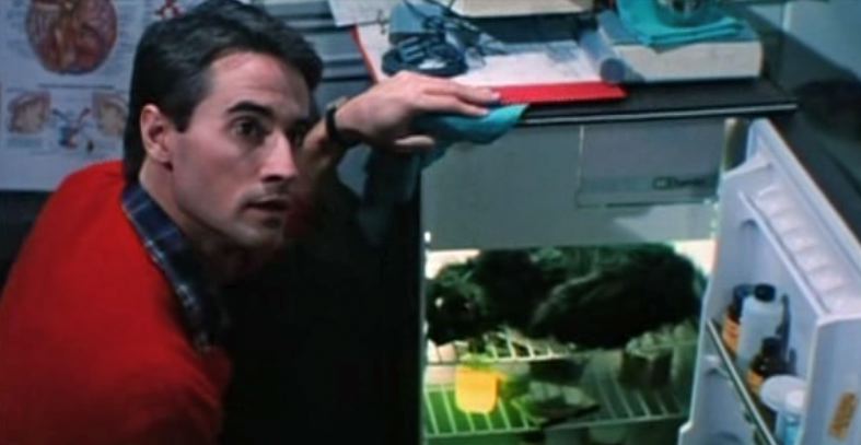 CAT OF THE DAY 076: RE-ANIMATOR | CATS ON FILM